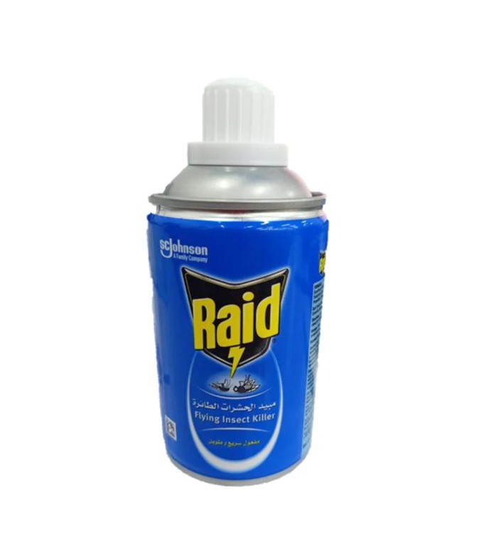 Raid Flying Insects Killer Spray - 269ml | SRV